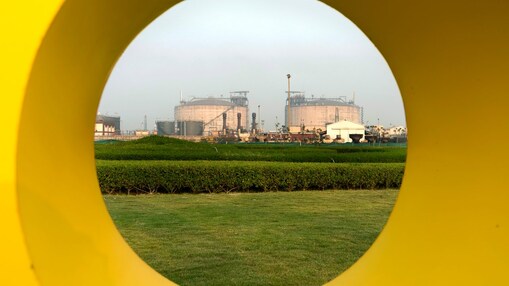 Environment | Shell Trinidad & Tobago